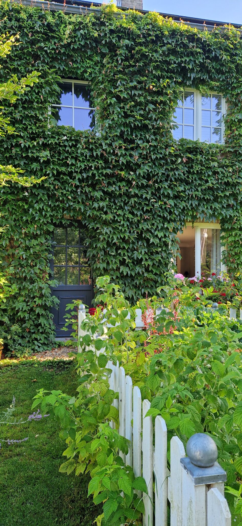 My “Practical Magic” inspired garden and how to create one - Chic Dogs ...